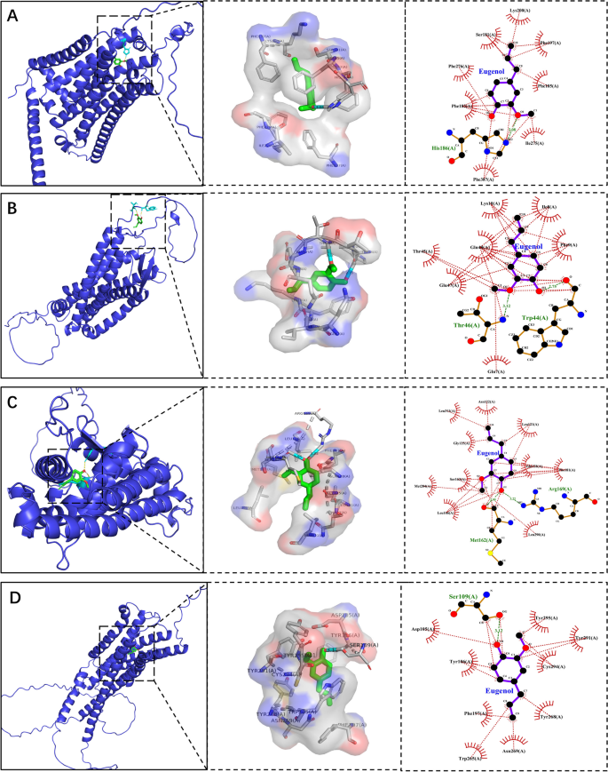 Assessment of the molecular mechanism in fish using eugenol as ...