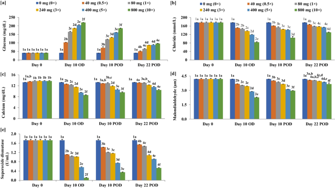Muscle biochemistry and residue accretion in male Oreochromis niloticus ...