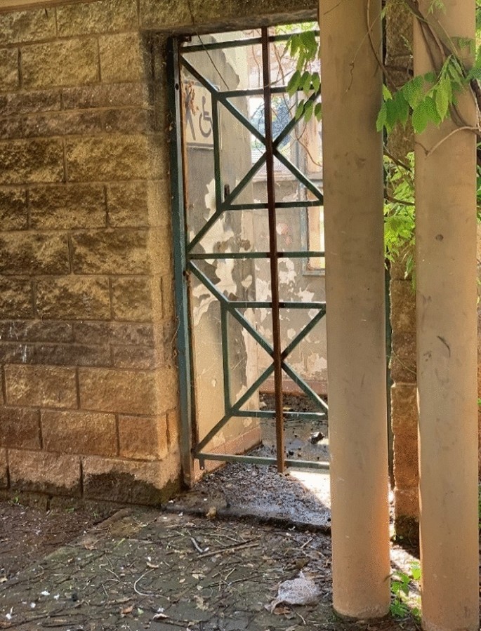 Factors impacting urban greenspace usage: new evidence from South ...