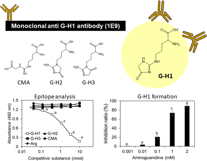 Monoclonal antibody-based assay to identify compounds that inhibit Nδ ...