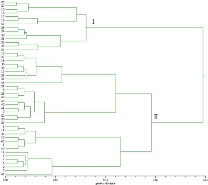 Sequence-related amplified polymorphism (SRAP) markers reveal genetic ...