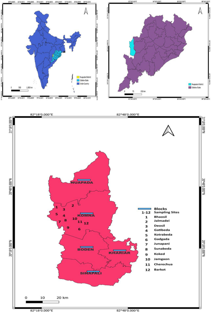 Traditional medicine insights: exploring ethnomedicinal leafy ...