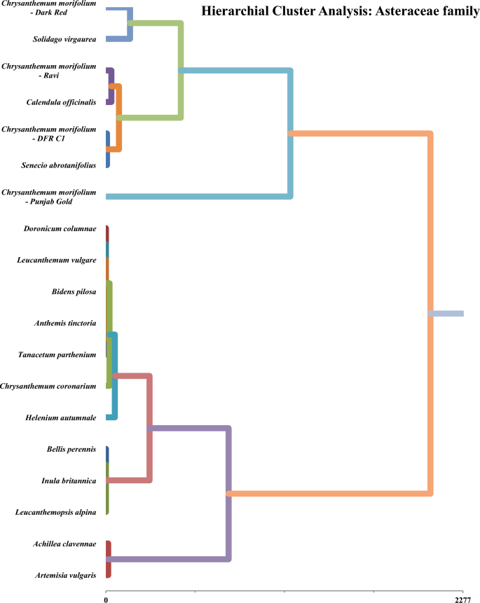 Pollen morphology and variability among Indian cultivars of ...
