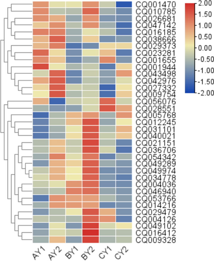 Identification of quinoa B3 gene family and its expression pattern in ...