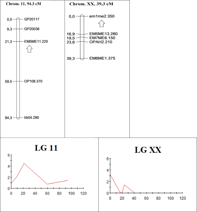 Development of molecular markers linked to quantitative trait loci and ...