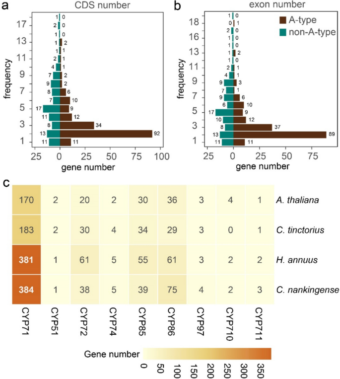 Genomic and transcriptomic insights into evolution and divergence of ...