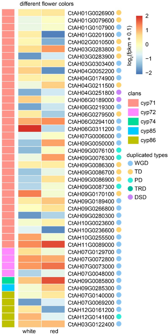 Genomic and transcriptomic insights into evolution and divergence of ...