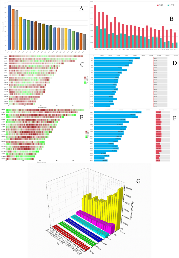 Development and application of simple sequence repeat (SSR) and inter ...
