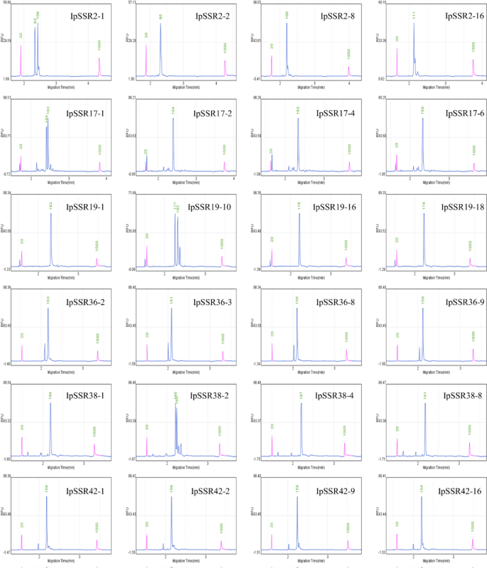 Development and application of simple sequence repeat (SSR) and inter ...