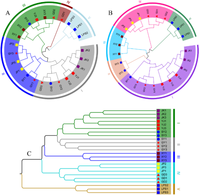 Development and application of simple sequence repeat (SSR) and inter ...