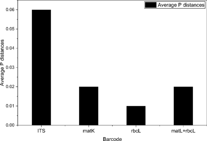 DNA barcoding and phylogenetic relationship in Pakistani species of ...