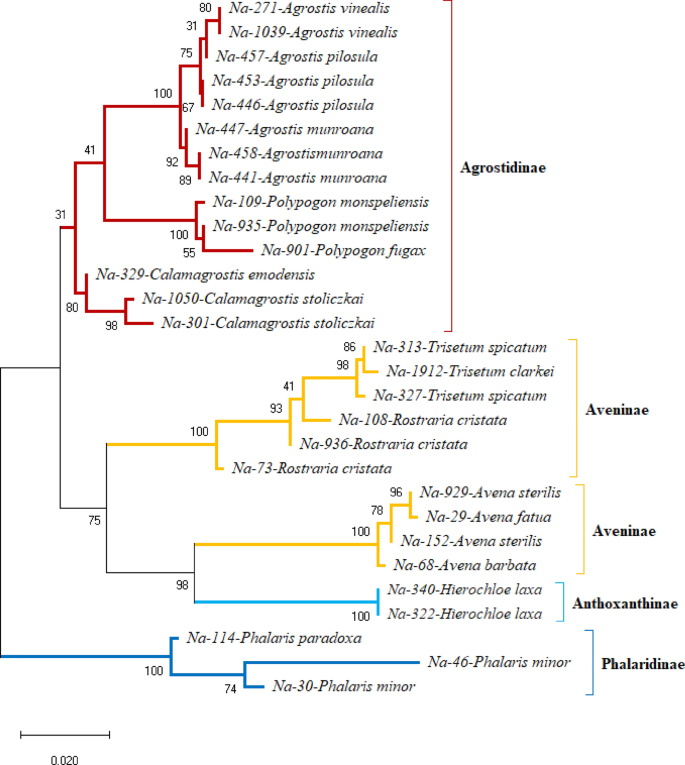 DNA barcoding and phylogenetic relationship in Pakistani species of ...
