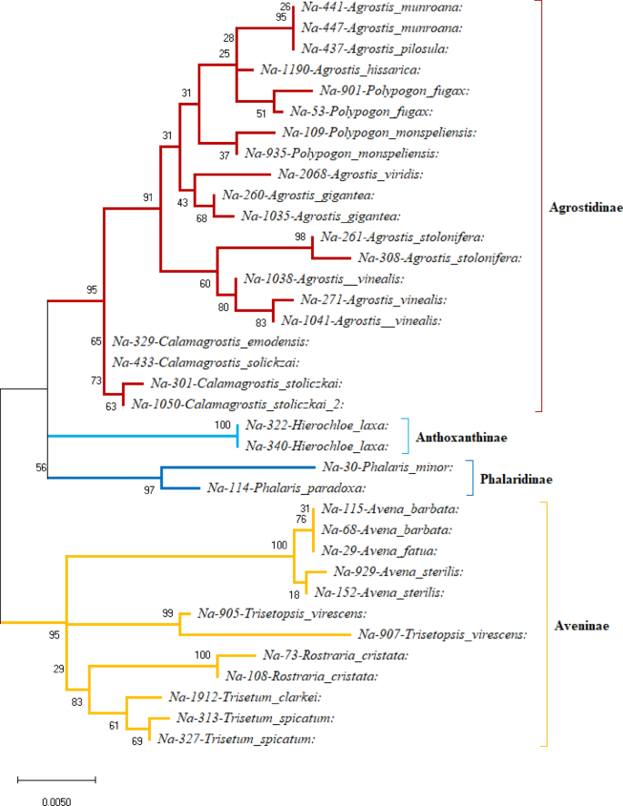 DNA barcoding and phylogenetic relationship in Pakistani species of ...