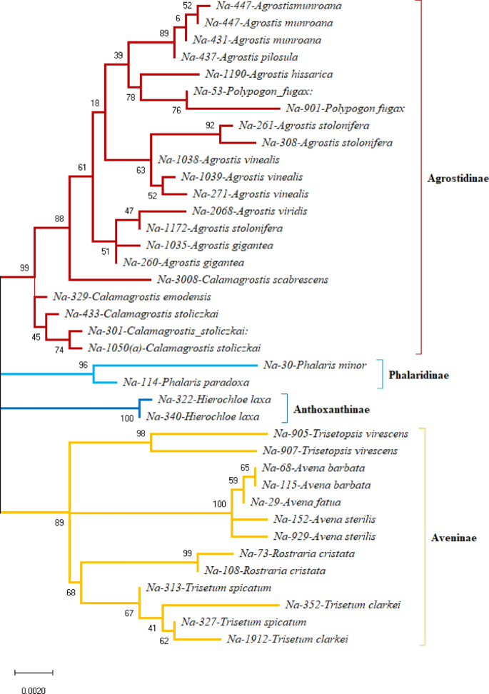 DNA barcoding and phylogenetic relationship in Pakistani species of ...