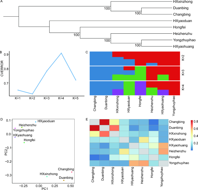 A draft genome assembly and resequencing analysis of Chinese cherry ...