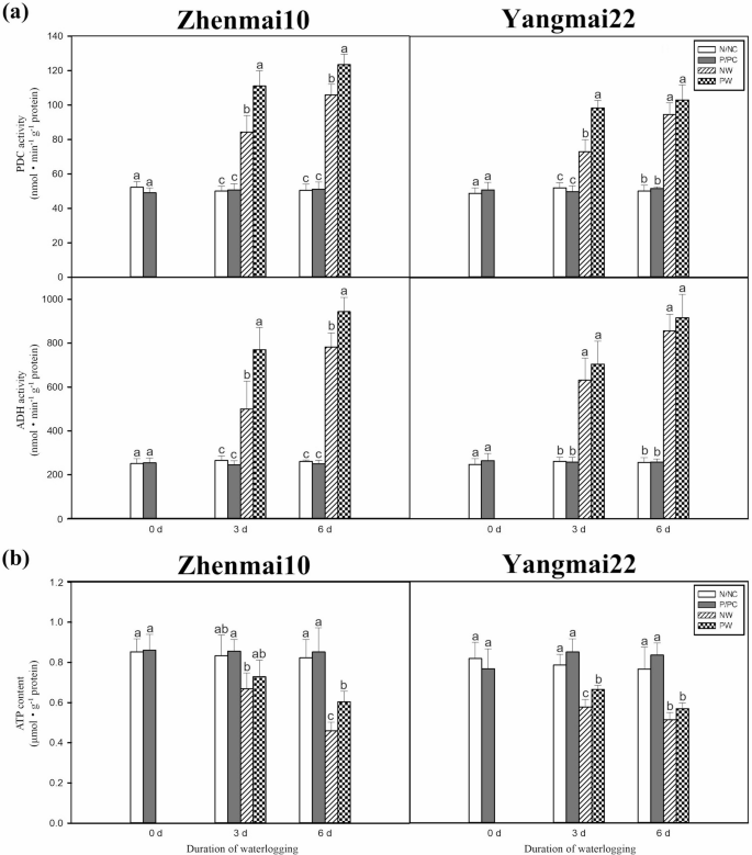 Unravelling the long-term beneficial effects of stress priming-induced ...