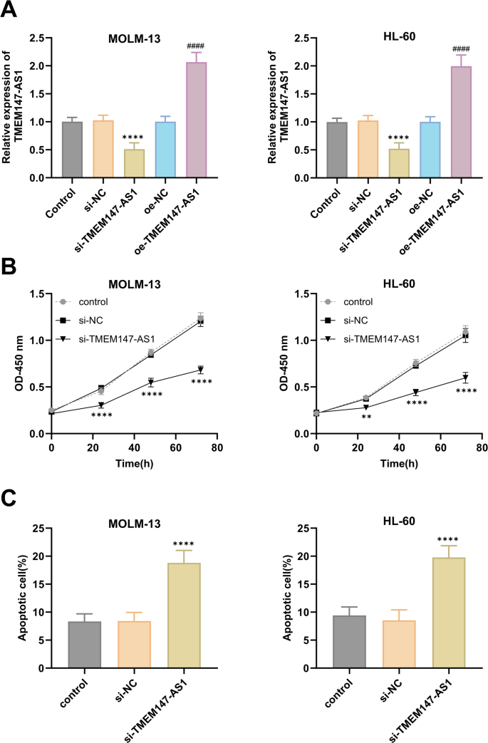lncRNA TMEM147-AS1 promotes acute myeloid leukemia development by ...