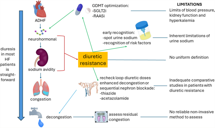 Diuretic strategies in acute decompensated heart failure | Heart ...