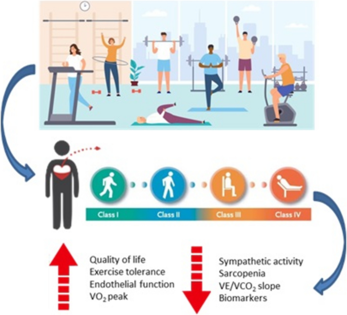 Cardiac rehabilitation in patients with heart failure: clinical ...