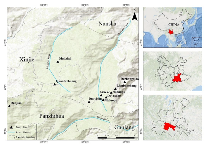 Glutinous Rice and Cultural Unity: Exploring its Role in the Hani ...
