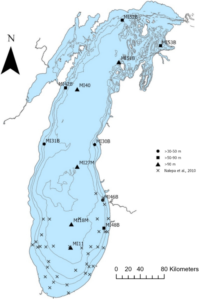 Demographic patterns of quagga mussel invasion into Lake Michigan ...