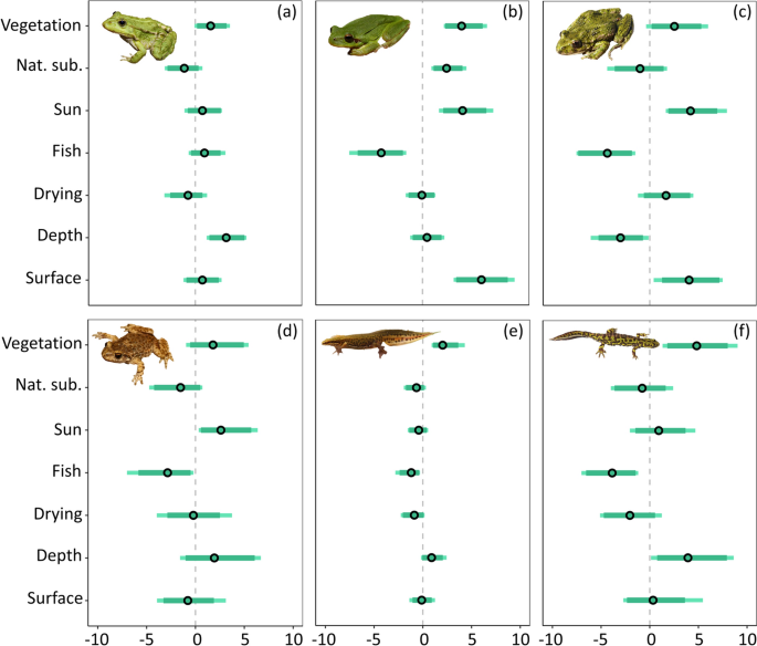 One frog to rule them all: wide environmental niche of invasive marsh ...