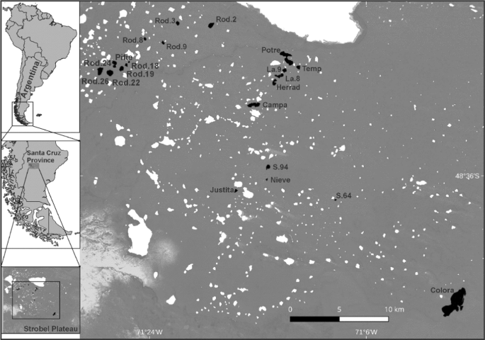 Differences in bacterial community composition between fish-stocked and ...