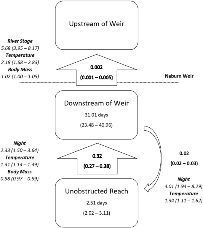 Factors influencing European river lamprey passage at a tidal river ...