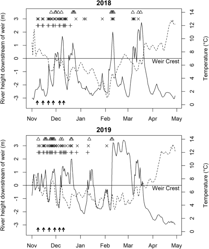 Factors influencing European river lamprey passage at a tidal river ...
