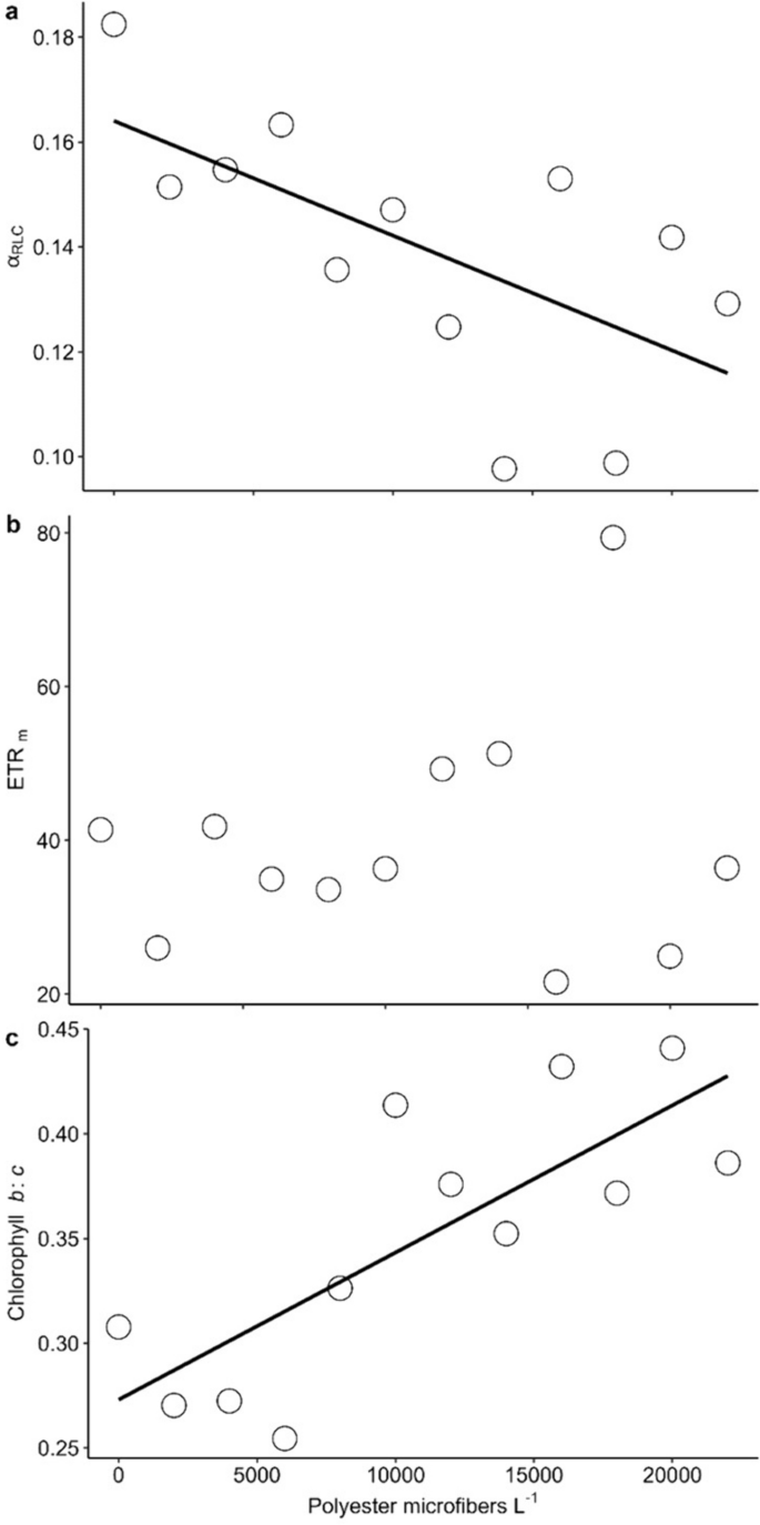 The entrainment of polyester microfibers modifies the structure and ...