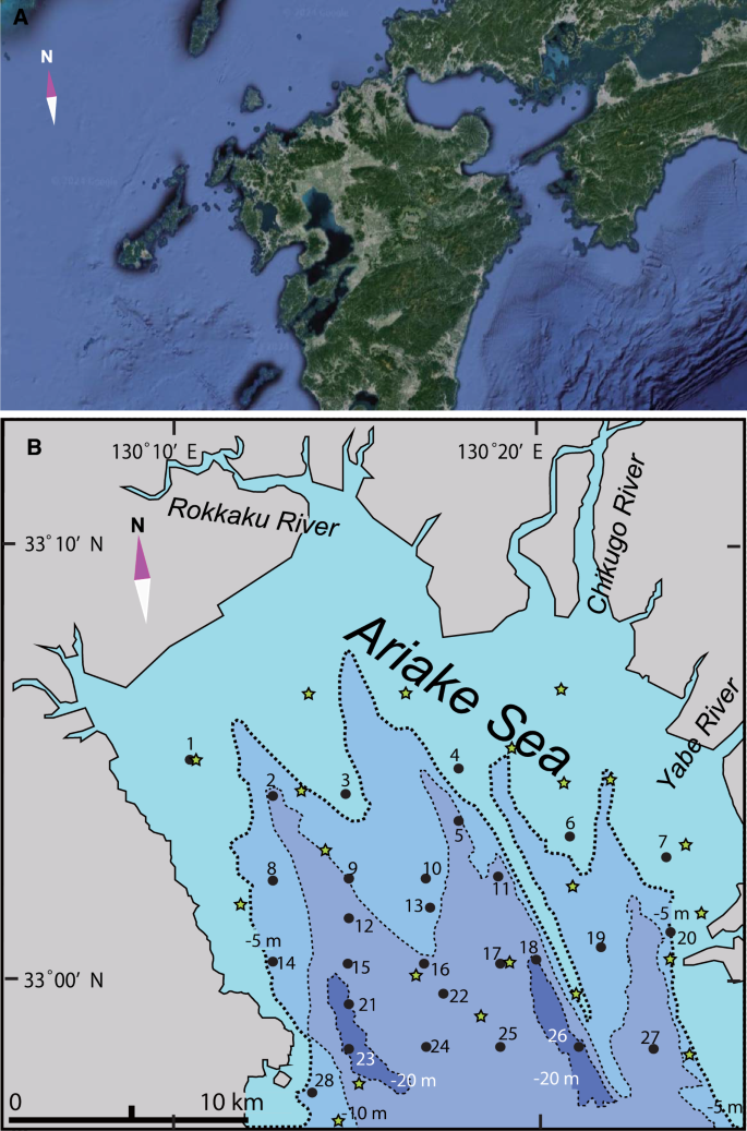 Recent ostracods as lagoonal paleoenvironmental indicators: application ...