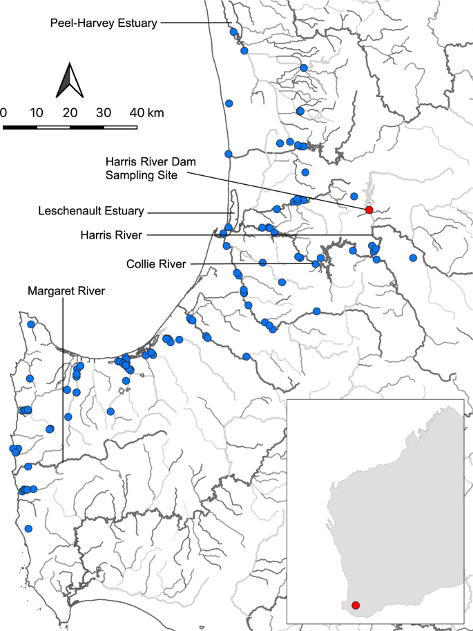Biofiltration by an imperilled freshwater mussel: implications for ...