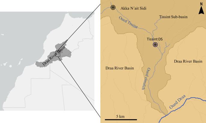 Are there differences in biological traits and trophic ecology of the ...