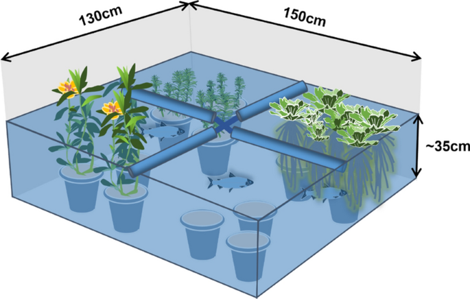 Invasive macrophytes as refuge and habitat for zooplankton: insights ...