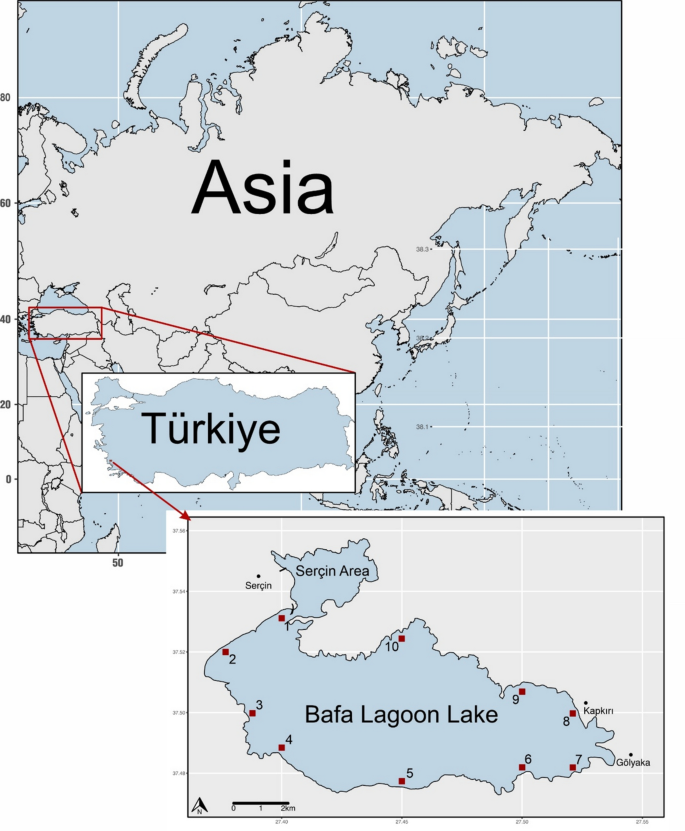 Fyke net size selectivity as a sustainability key for European eel ...