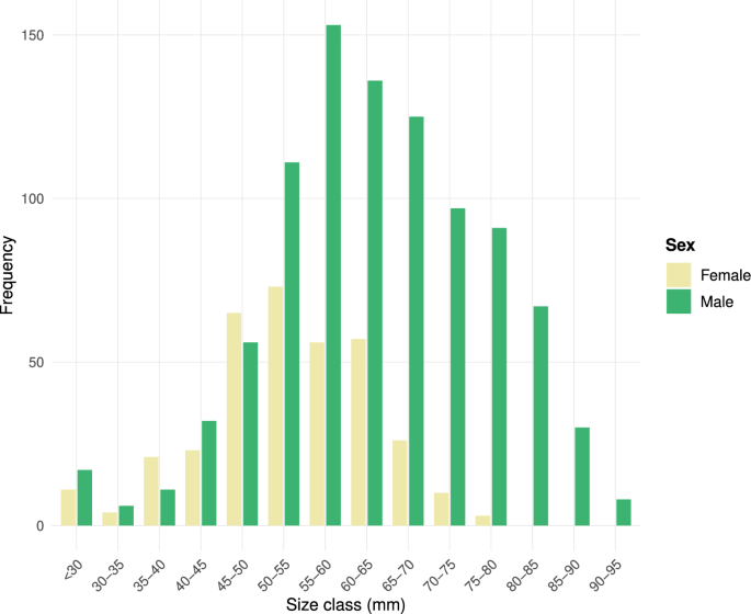 Tracking the spread of green crabs along the SW Atlantic: a regional ...
