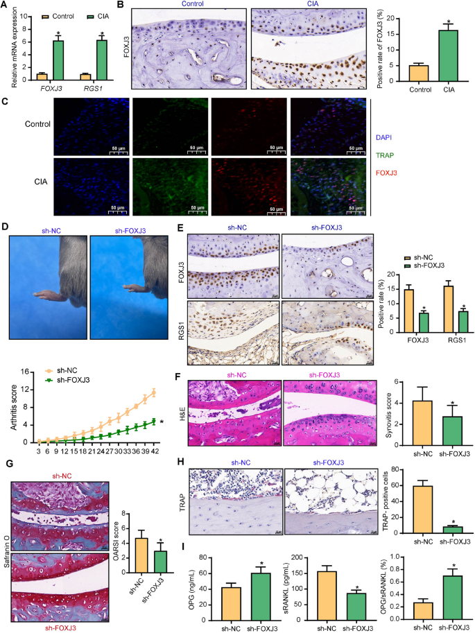 RGS1 Enhancer RNA Promotes Gene Transcription by Recruiting ...