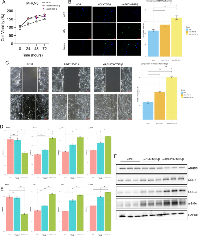 Exploring ABHD5 as a Lipid-Related Biomarker in Idiopathic Pulmonary ...