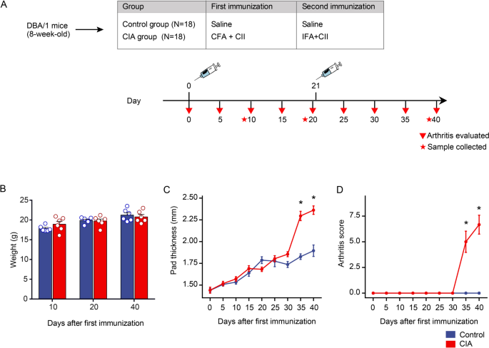 Metabolomics Reveals Disturbed Amino Acid Metabolism During Different ...
