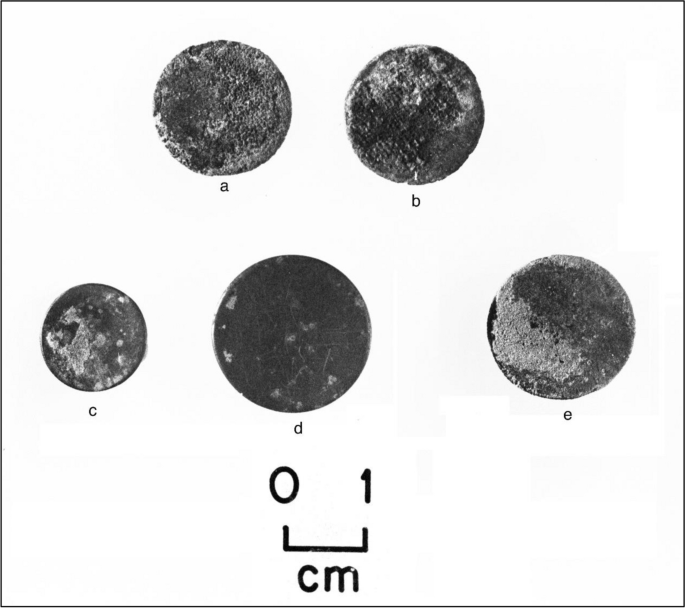 The Droke Family Burial Ground (3BE655): The Civil War, Civilian Dead ...