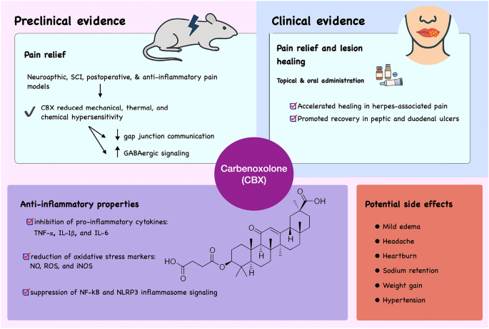 Analgesic and anti-inflammatory properties of carbenoxolone: a review ...