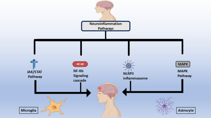 A mechanistic insight of neuro-inflammation signaling pathways and ...