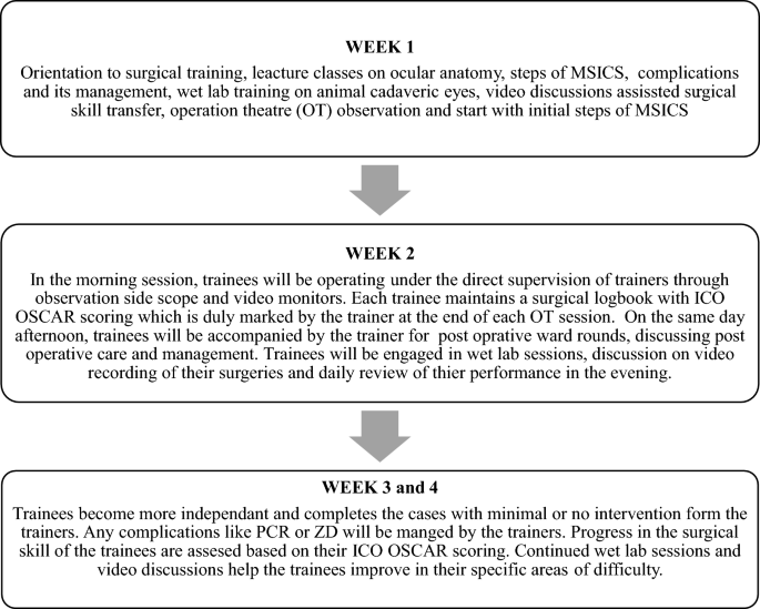 Evaluation of the impact of short term manual small incision cataract ...