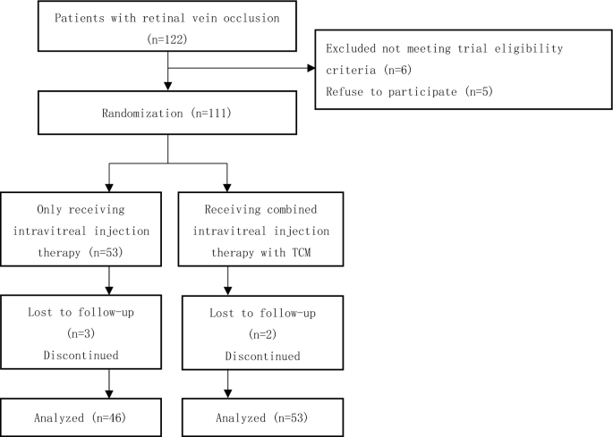 Jueling Mingmu decoction combined with ranibizumab for retinal vein ...