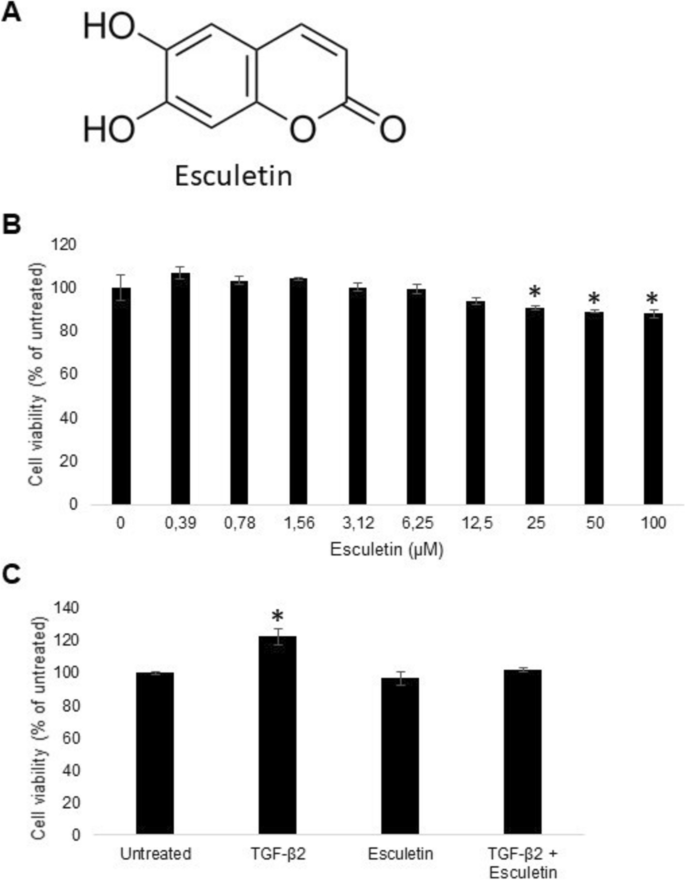 Esculetin inhibits TGF-β2-induced proliferation and epithelial ...