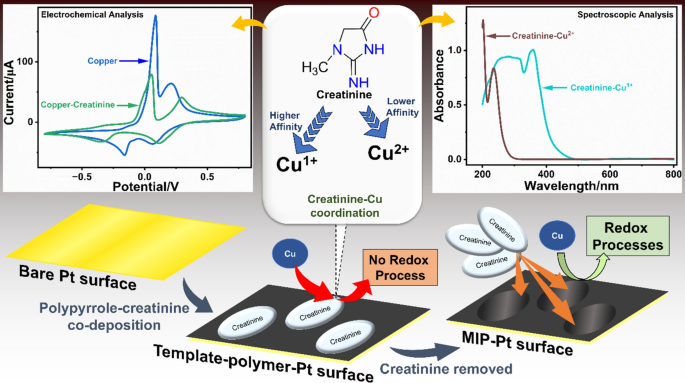 Creatinine-copper interaction: electrochemical and spectroscopic ...