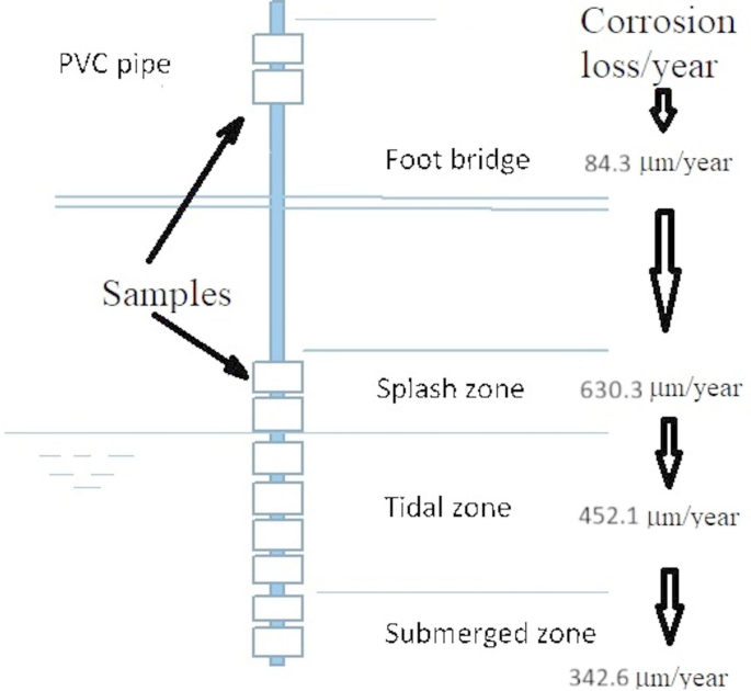 Mechanistic investigation into the marine corrosion of carbon steel in ...