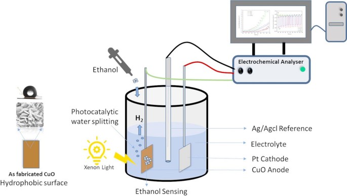 Cost-effective electrochemically anodized CuO nanostructures for ...