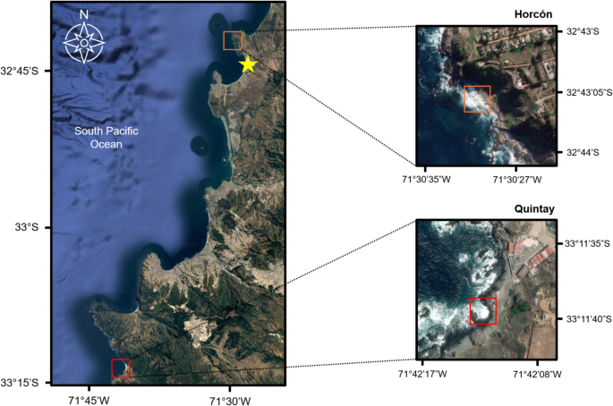 Influence of environmental seasonality and marine pollution on the ...