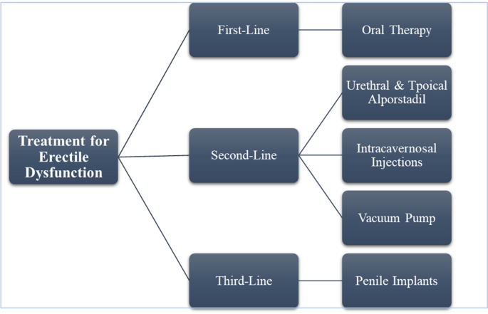 Interrogating erectile dysfunction and evaluating novel therapeutic ...